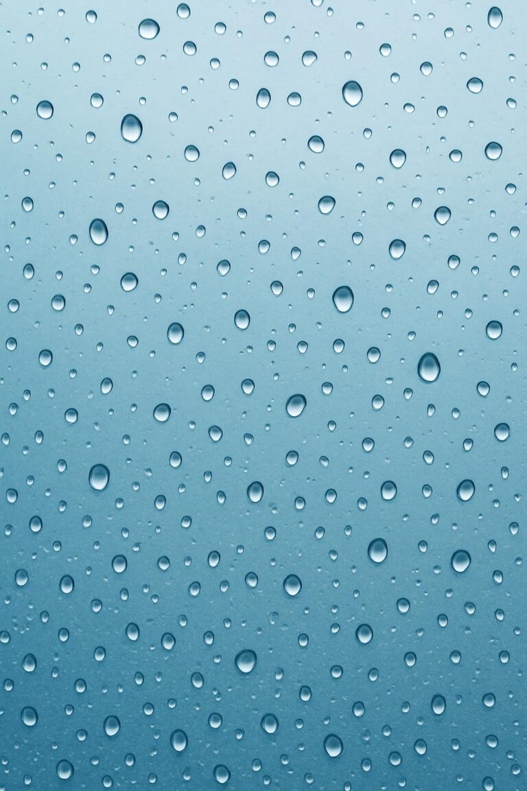 Understanding Grief - Mourning to Morning